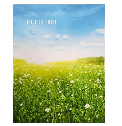 9781323882580 Eced-1003 Emotional Development & Early Relations [Custom ...